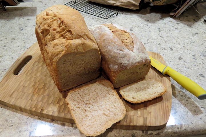A Tale of Two Loaves – Scripturient